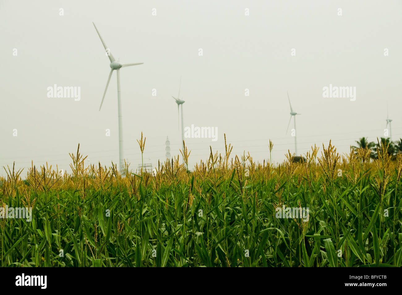 Wind Farm In India High Resolution Stock Photography and Images - Alamy