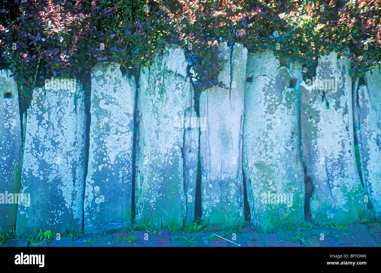 a fence made of bones from whales´ jaws, Borkum Island, East Friesland ...