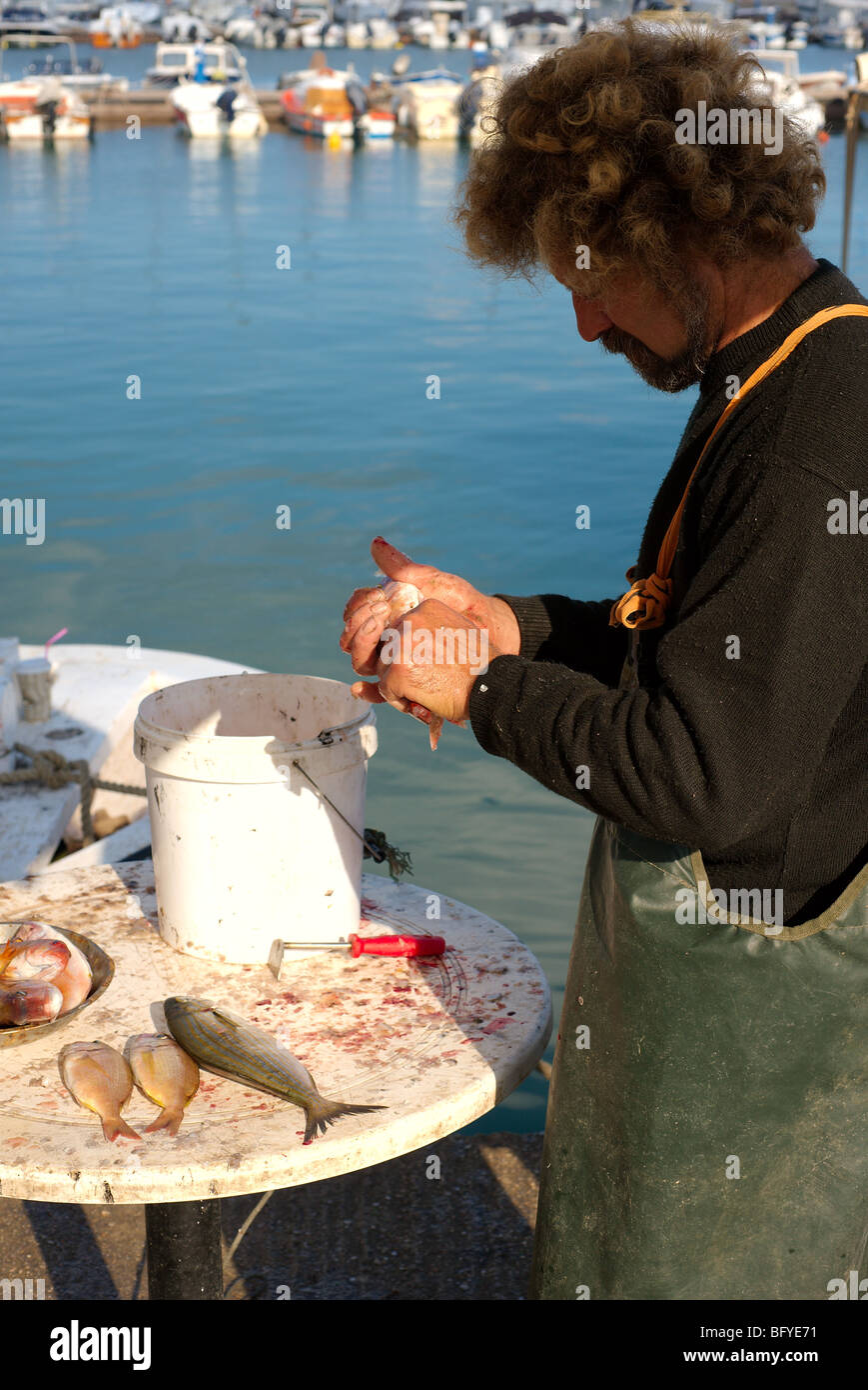 A commercial fisherman cleaning fish ready for sale on the waterfront ...