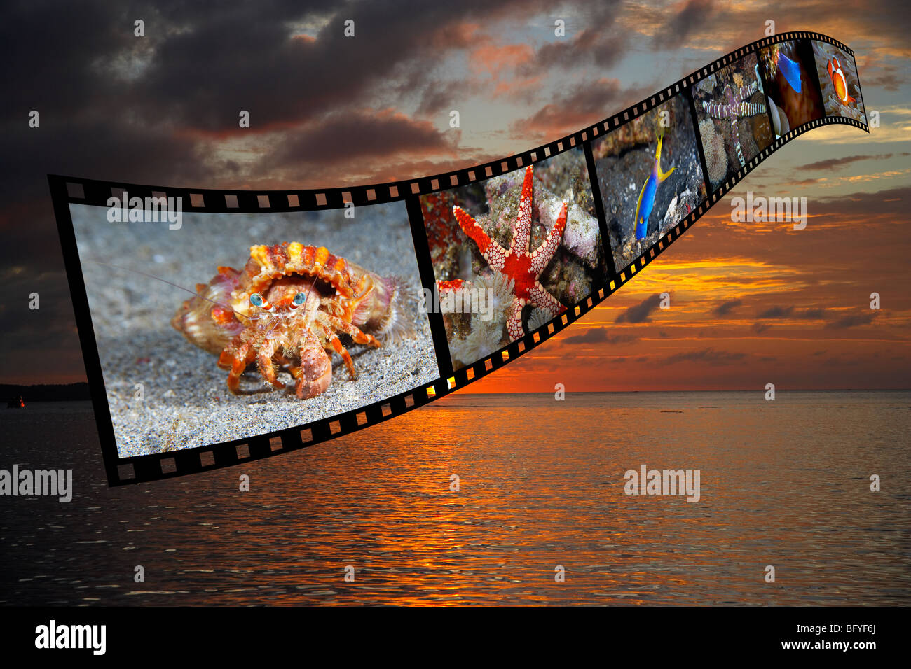 Sunset in Northern Sulawesi, Indonesia, with a 35mm film strip showing ...