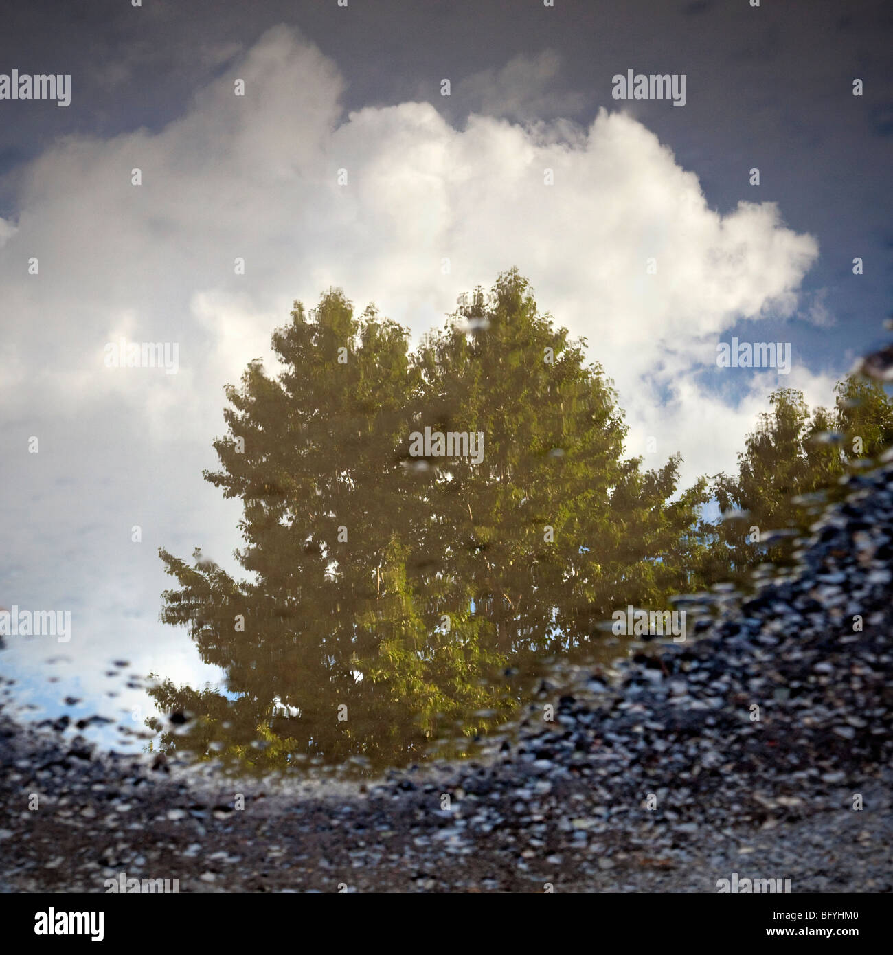 Cloud reflecting in puddle hi-res stock photography and images - Alamy