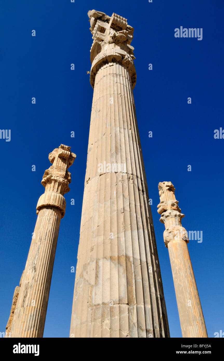 Huge columns at the Achaemenid archaeological site of Persepolis ...