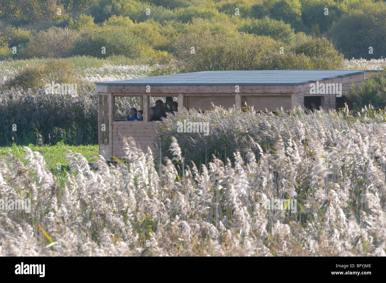 Island hide at Titchwell RSPB reserve, Norfolk Stock Photo - Alamy