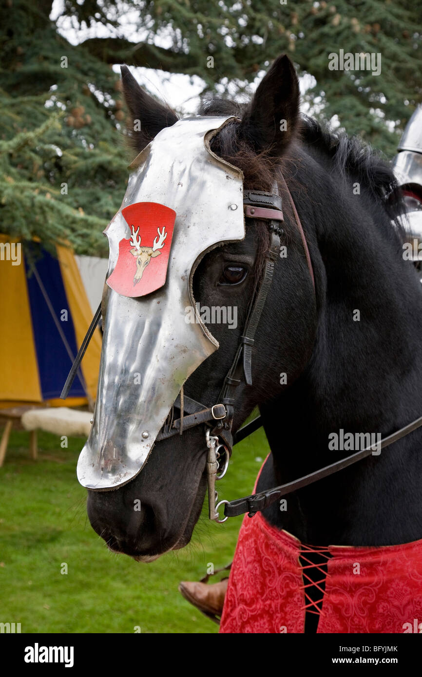 Century ages time past history heritage norfolk hi-res stock ...