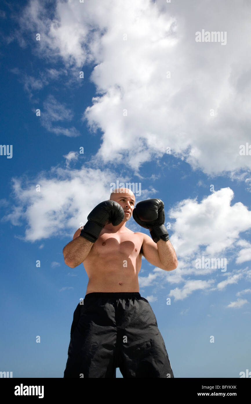Boxer shot against blue sky with clouds Stock Photo - Alamy