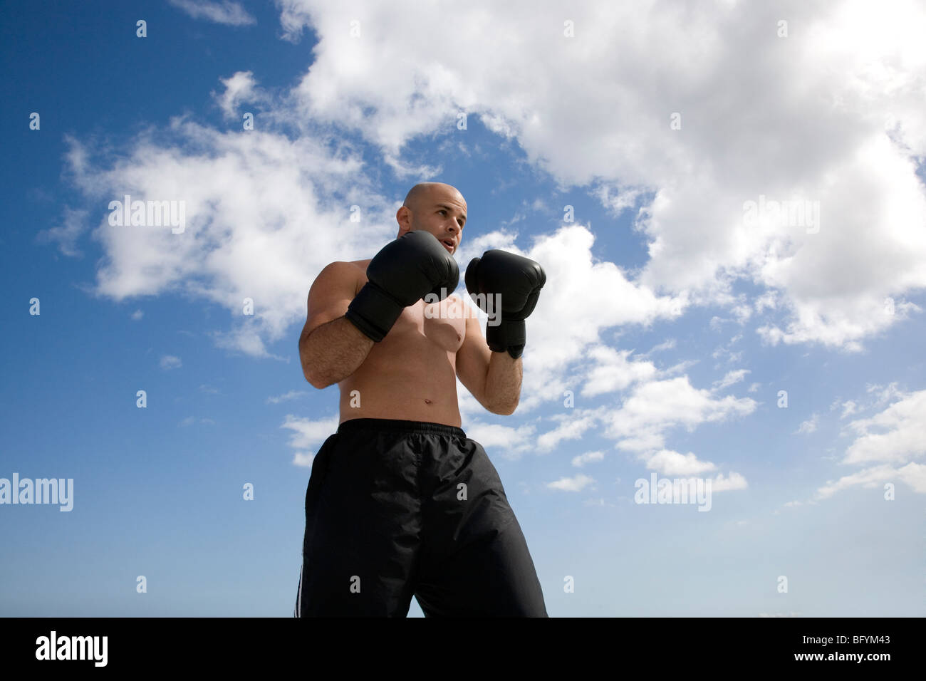 Boxer shot against blue sky with clouds Stock Photo - Alamy