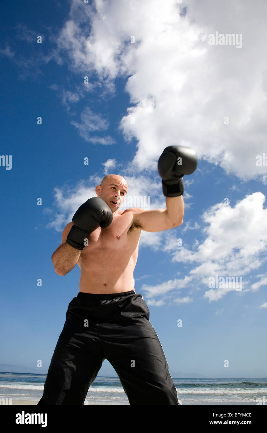 Boxer shot against blue sky with clouds Stock Photo - Alamy
