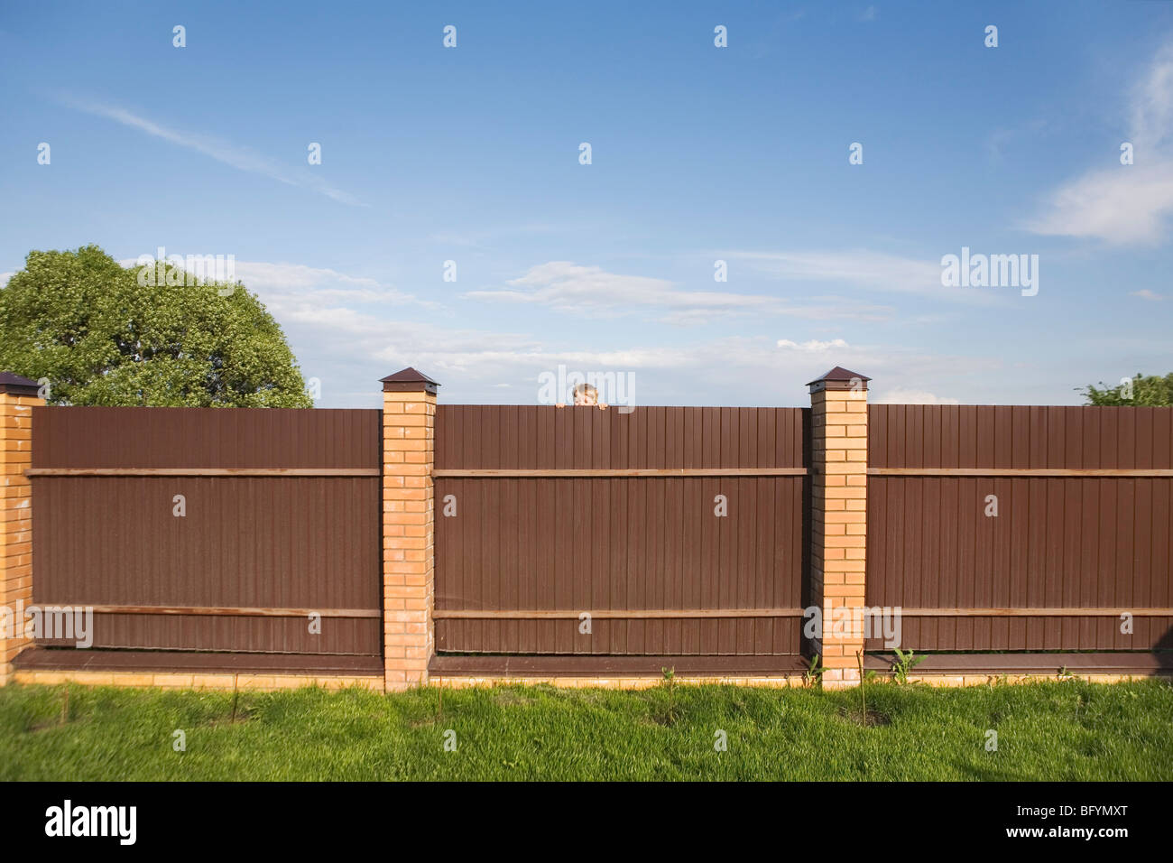 little boy trying to look over fence Stock Photo - Alamy