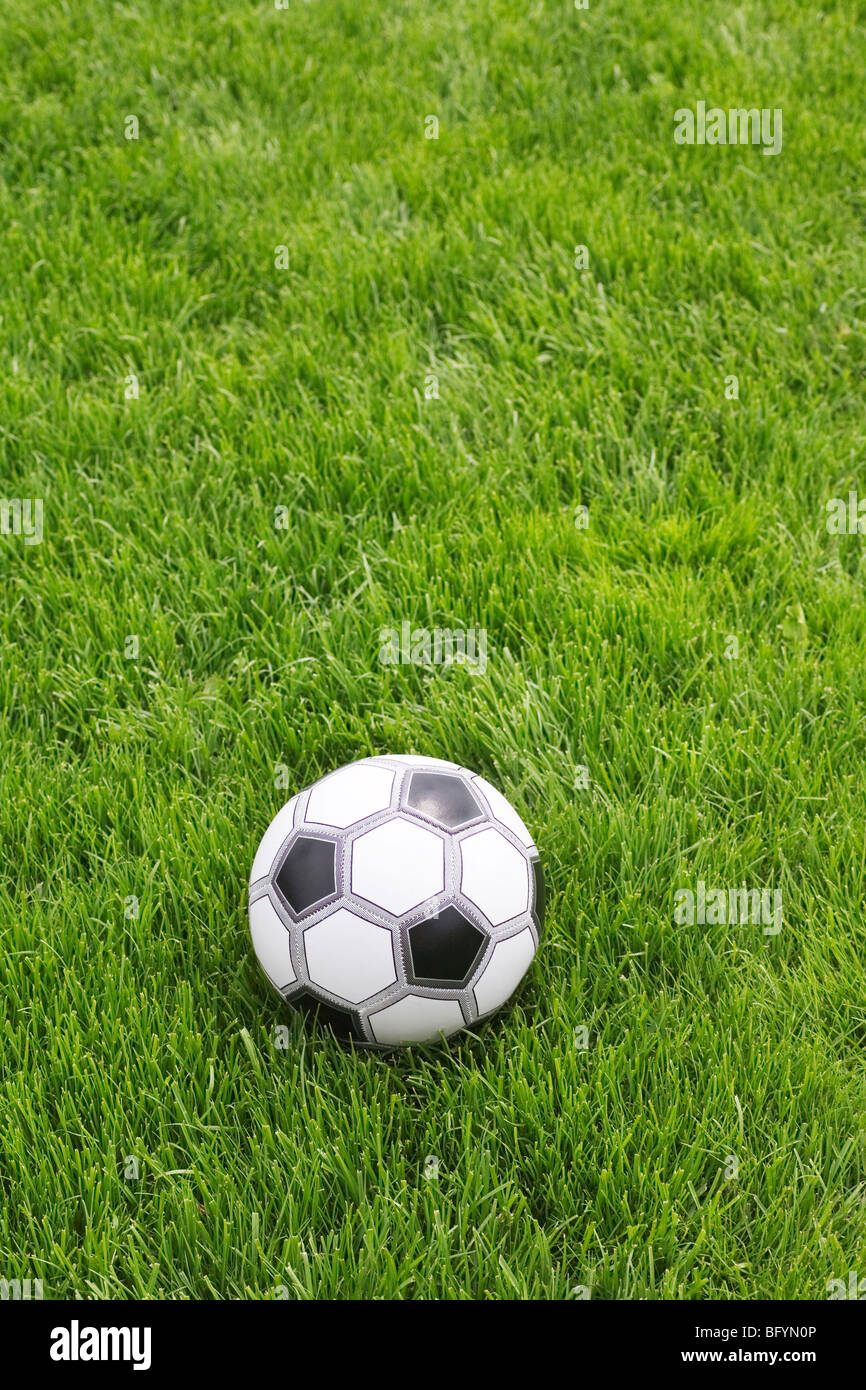 still life of football in grass Stock Photo - Alamy