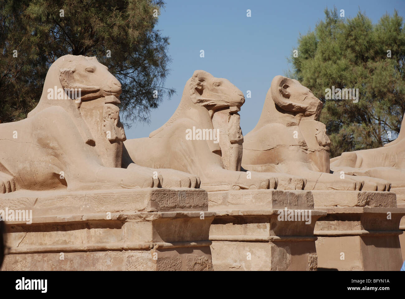 Ram Sphinx Egypt Stock Photo - Alamy