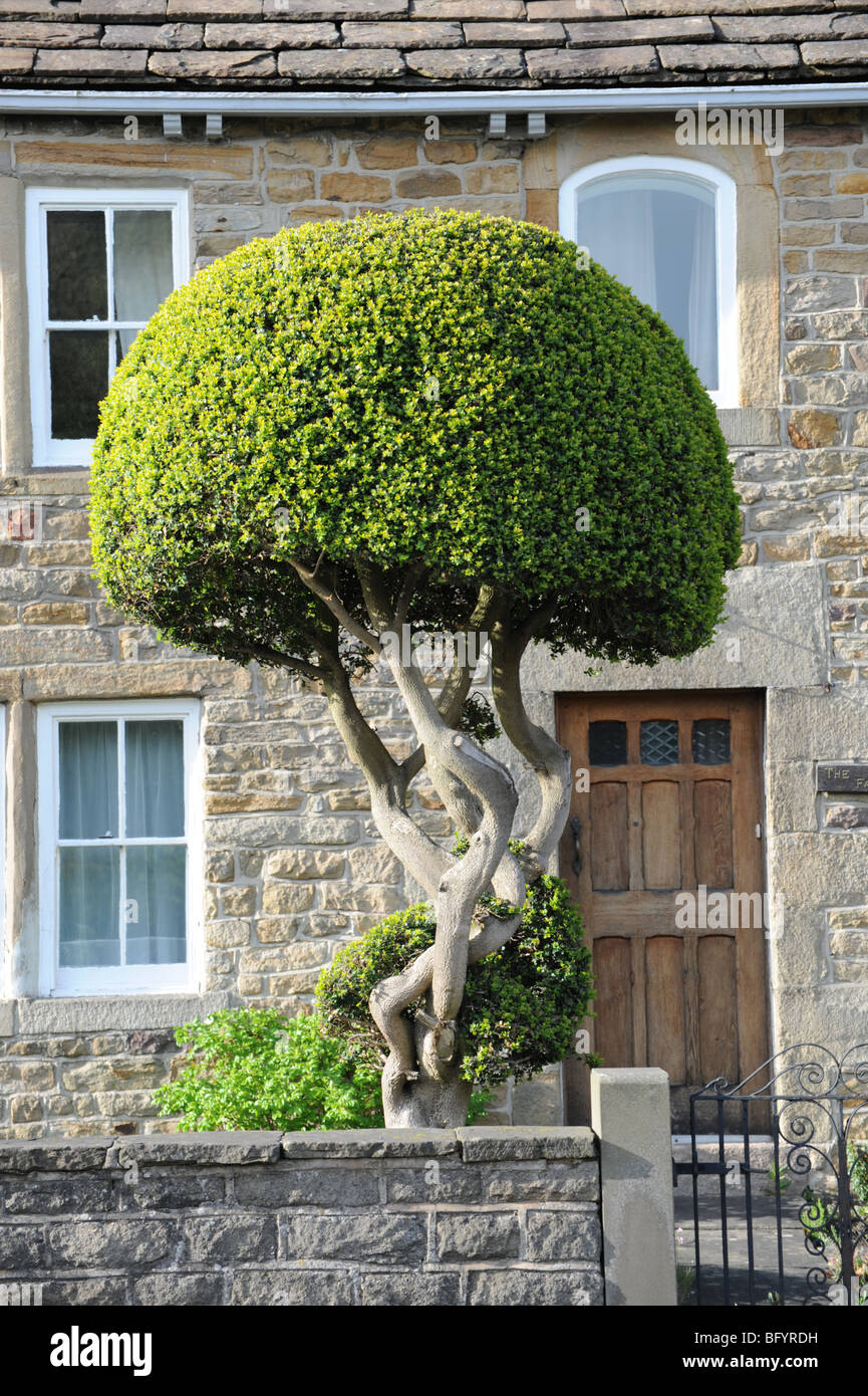 Topiary hi-res stock photography and images - Alamy