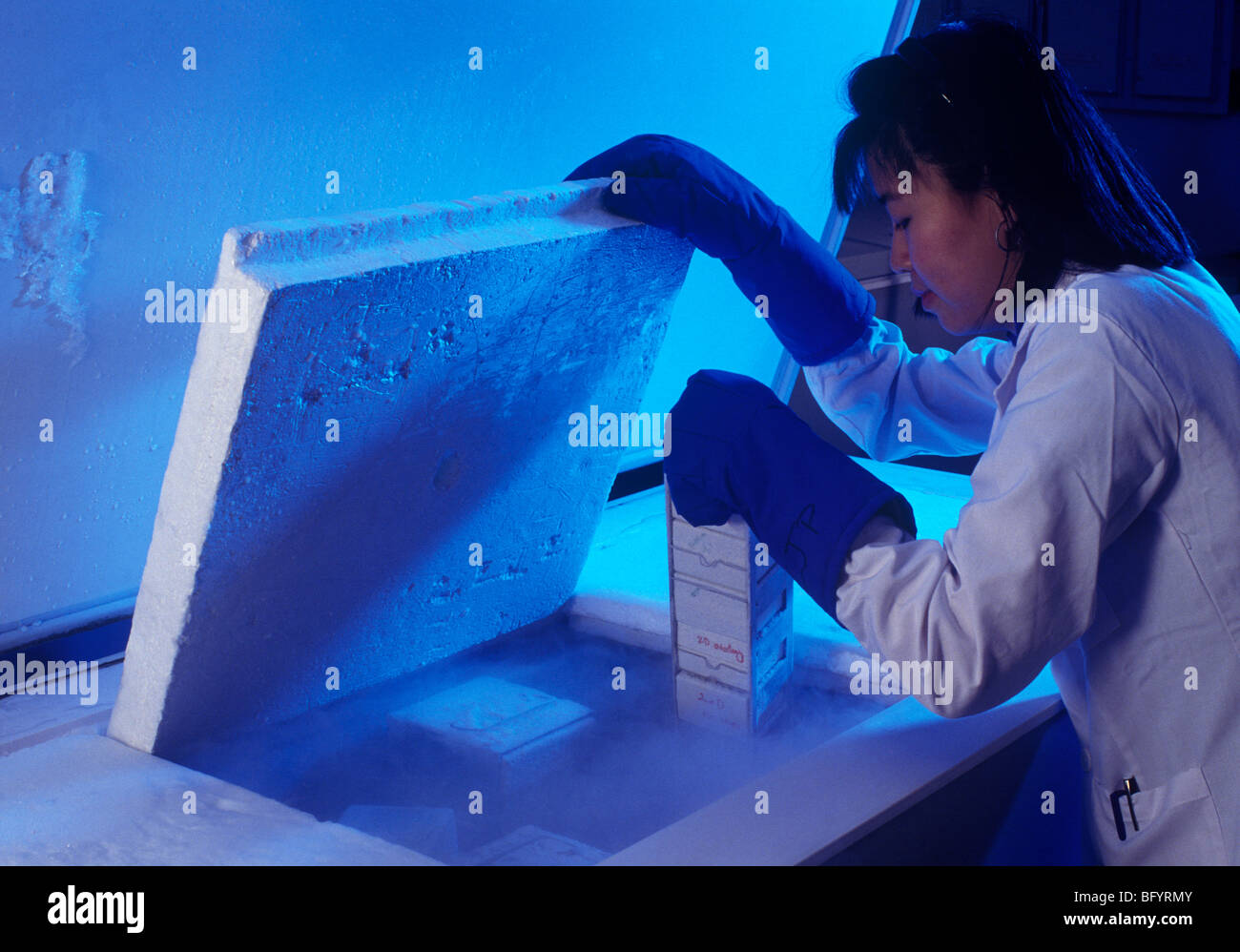 Biotech lab technician deep freezing samples Stock Photo - Alamy