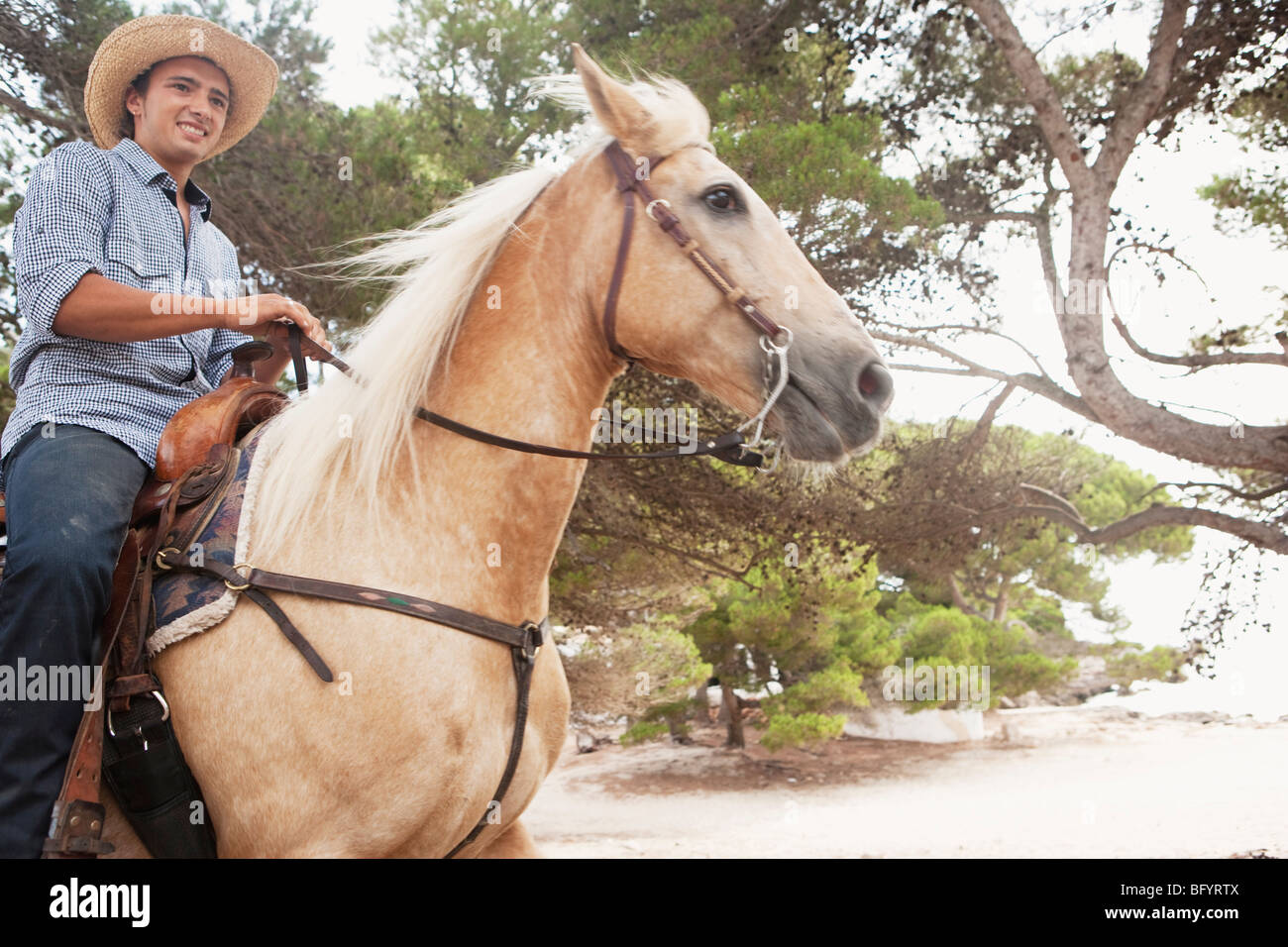 Bfyrtx hi-res stock photography and images - Alamy