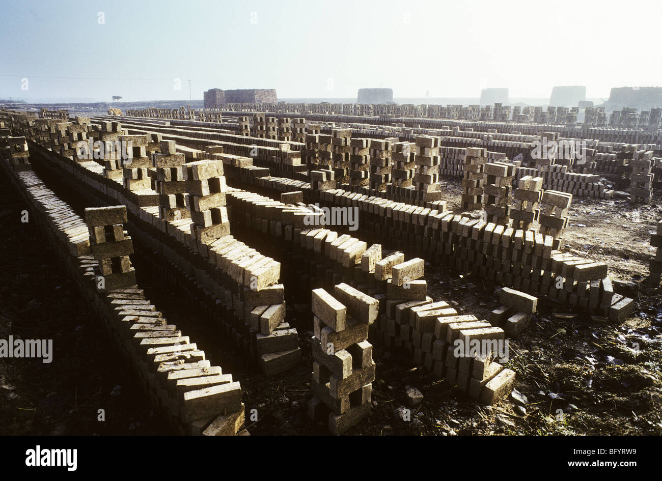 Mud bricks are stored and dried outside at a brick making factory in ...
