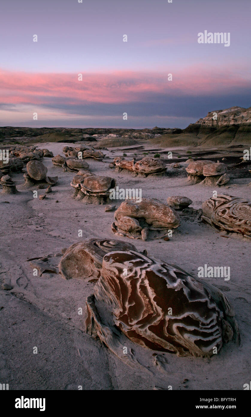 Strange rock formation in The Bisti Badlands in north western New ...