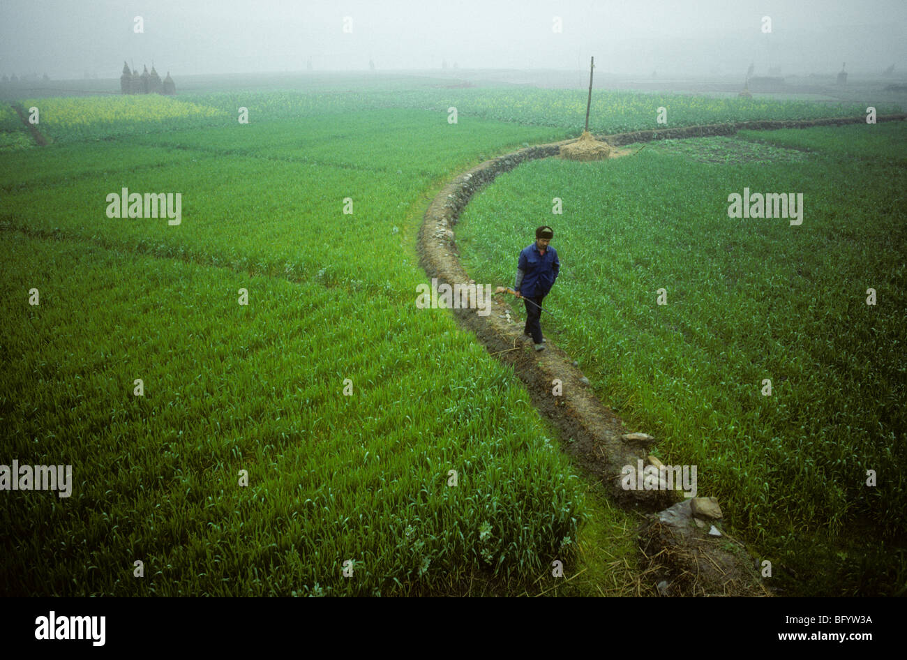The chinese hunt hi-res stock photography and images - Alamy
