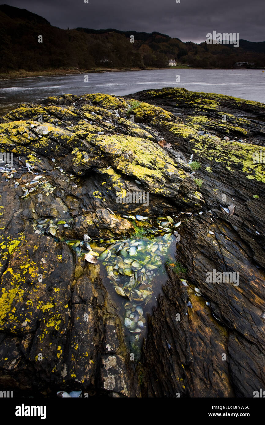 Melfort bay hi-res stock photography and images - Alamy