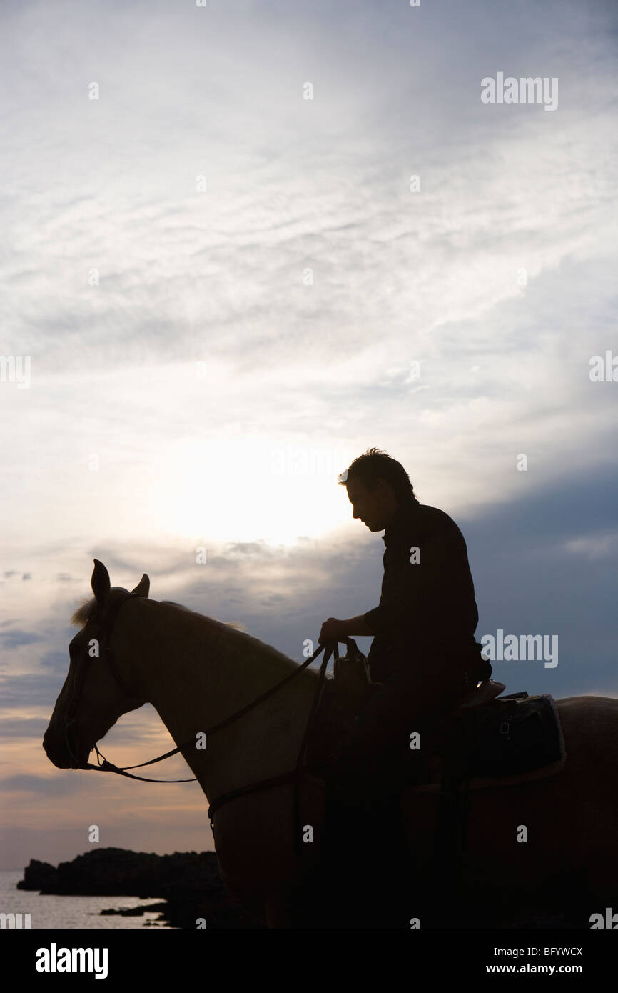 Rider with american quarter horse hi-res stock photography and images ...