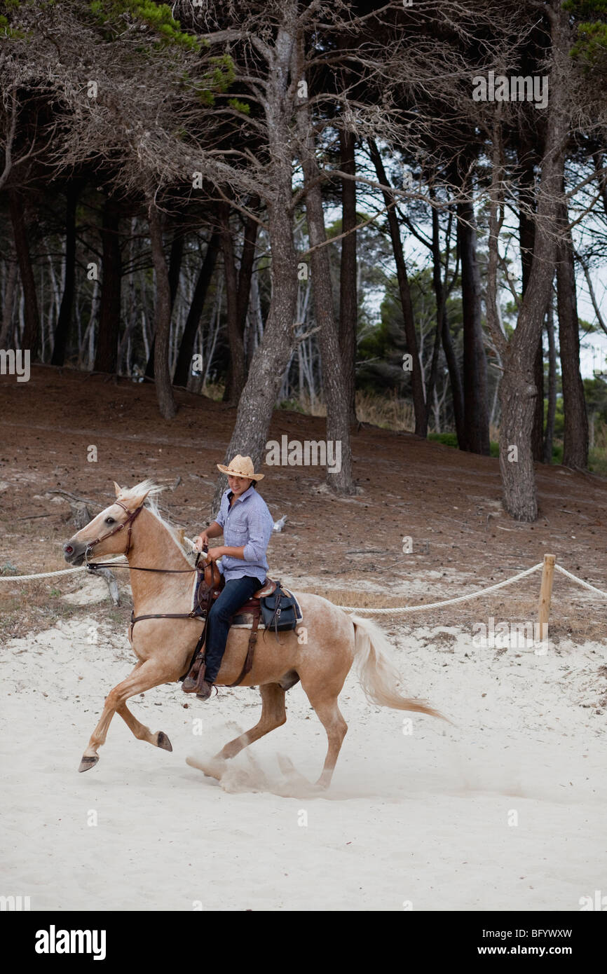 25 horse power hi-res stock photography and images - Alamy