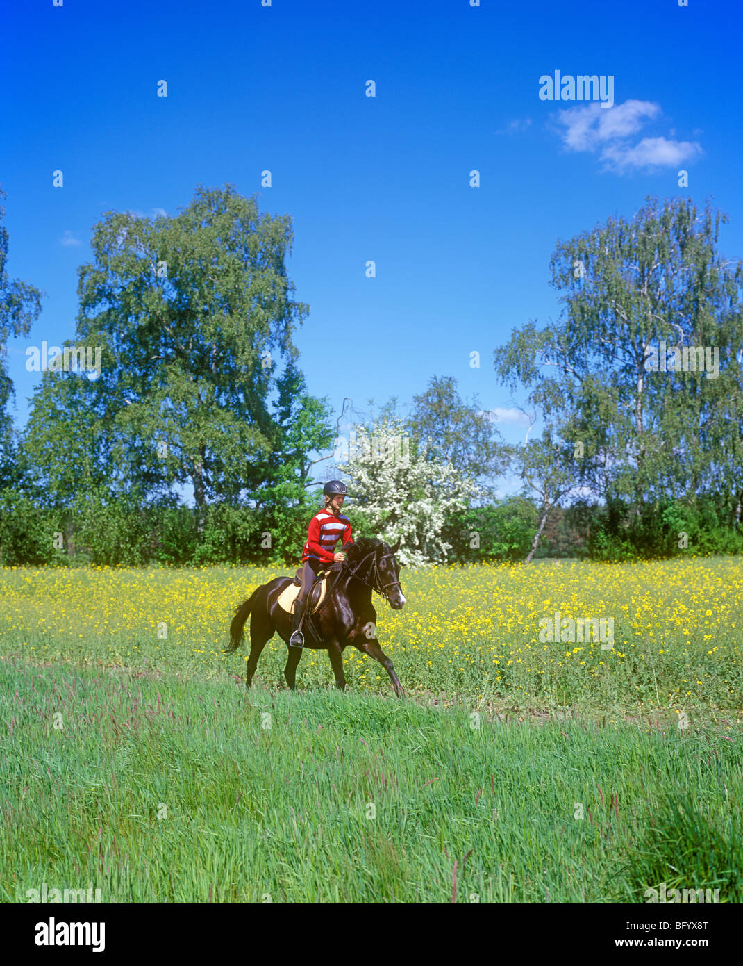 teenage boy horseback riding Stock Photo - Alamy