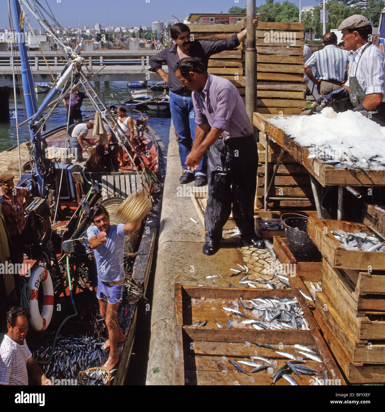 Historical 1985 archive Portimao Algarve port baskets full of sardines ...