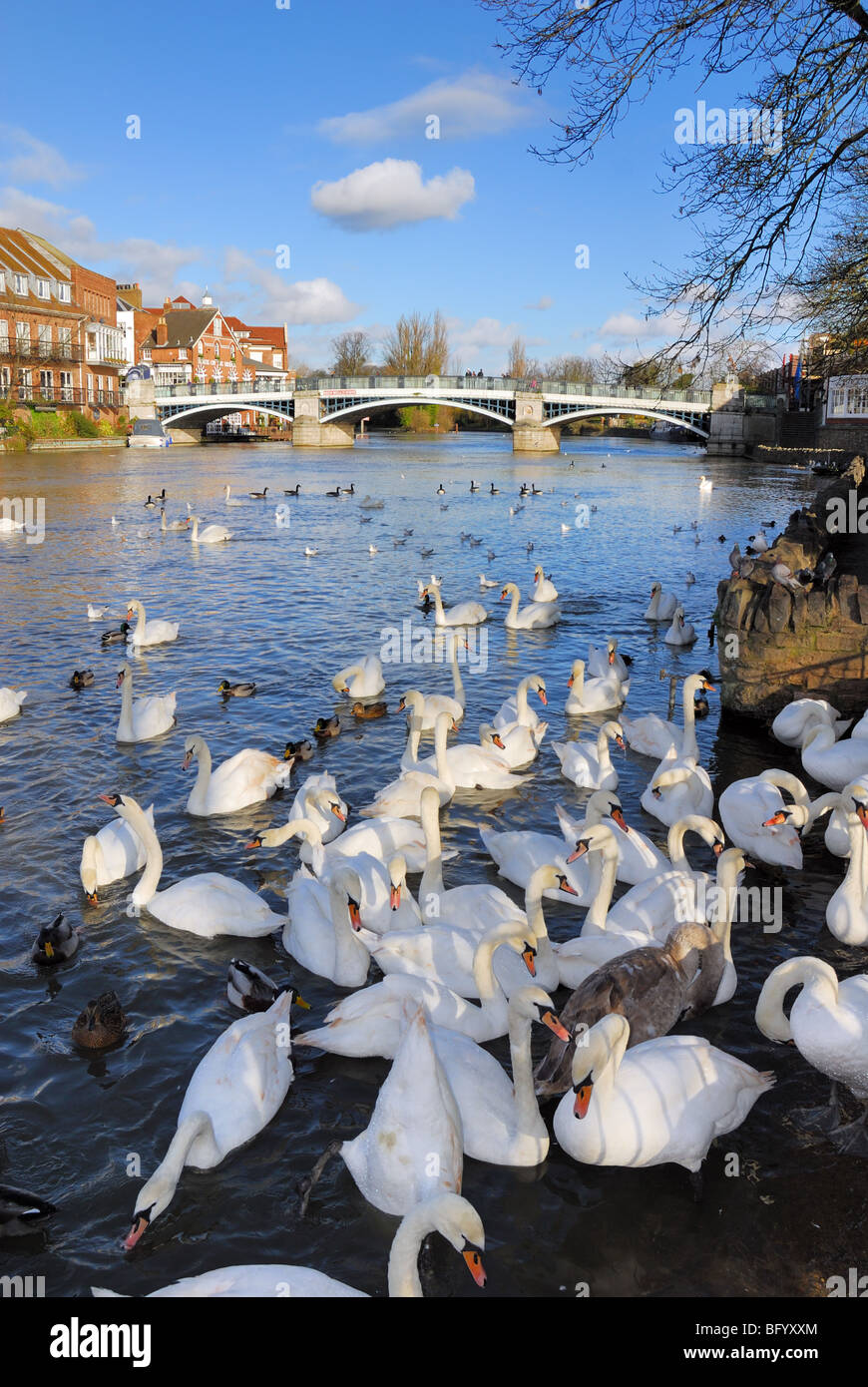 Windsor bridge hi-res stock photography and images - Alamy