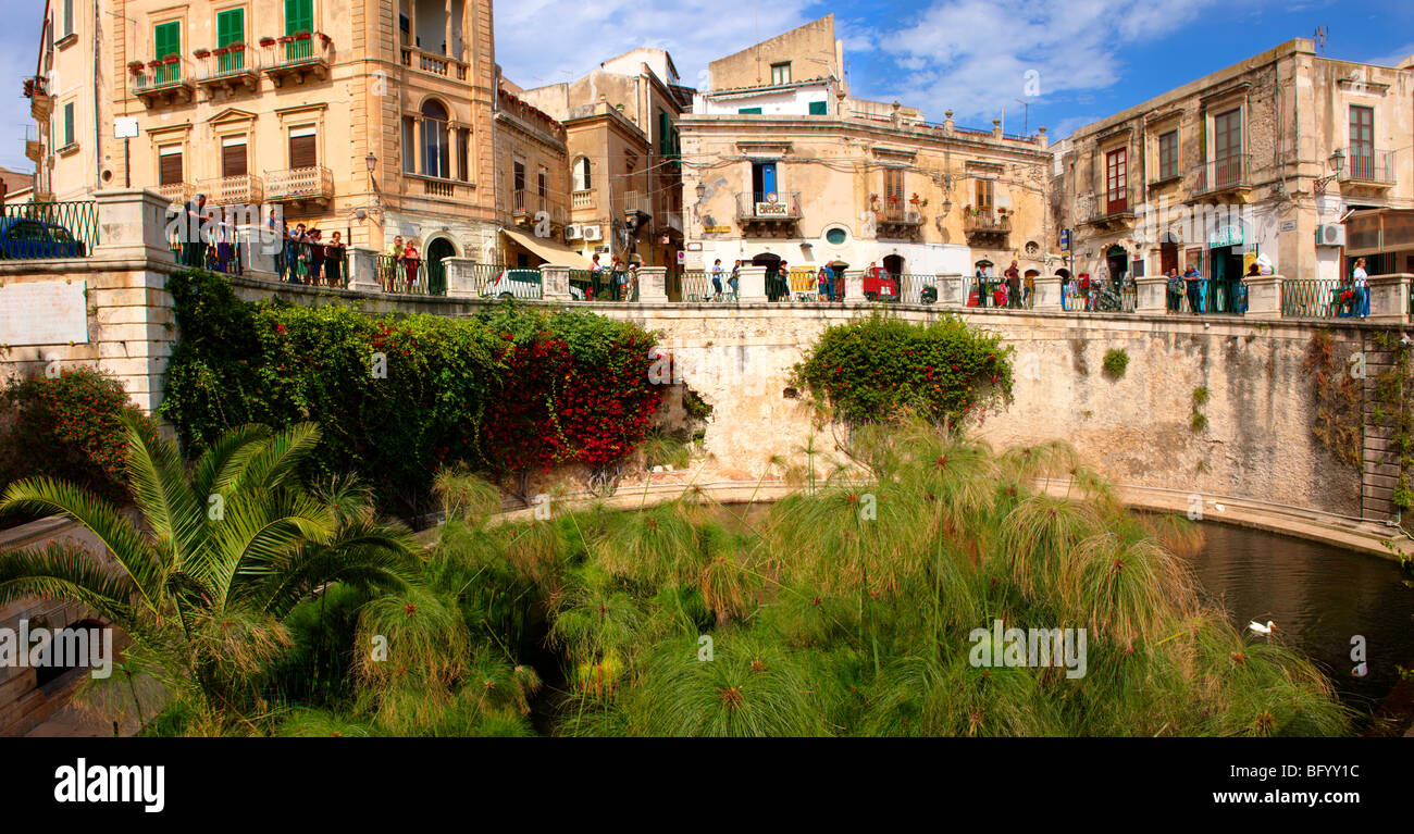 Arethusa hi-res stock photography and images - Alamy