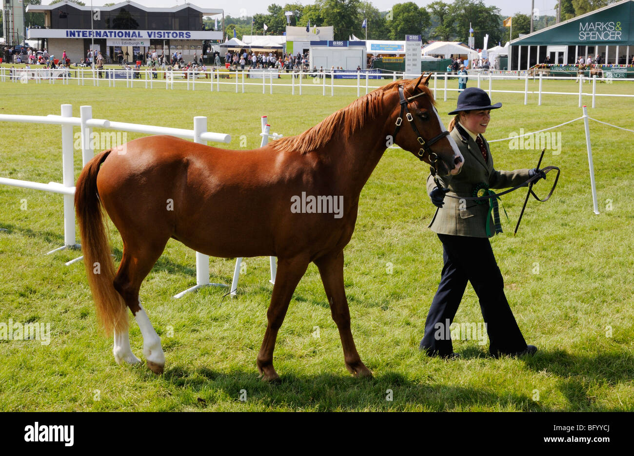 Scottish horse trainer hi-res stock photography and images - Alamy