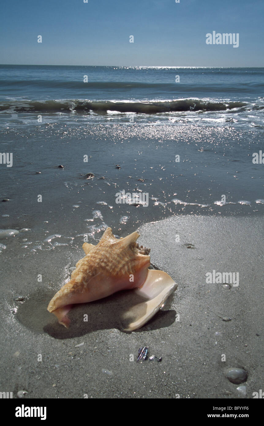 Florida beach attractions sanibel island hi-res stock photography and ...
