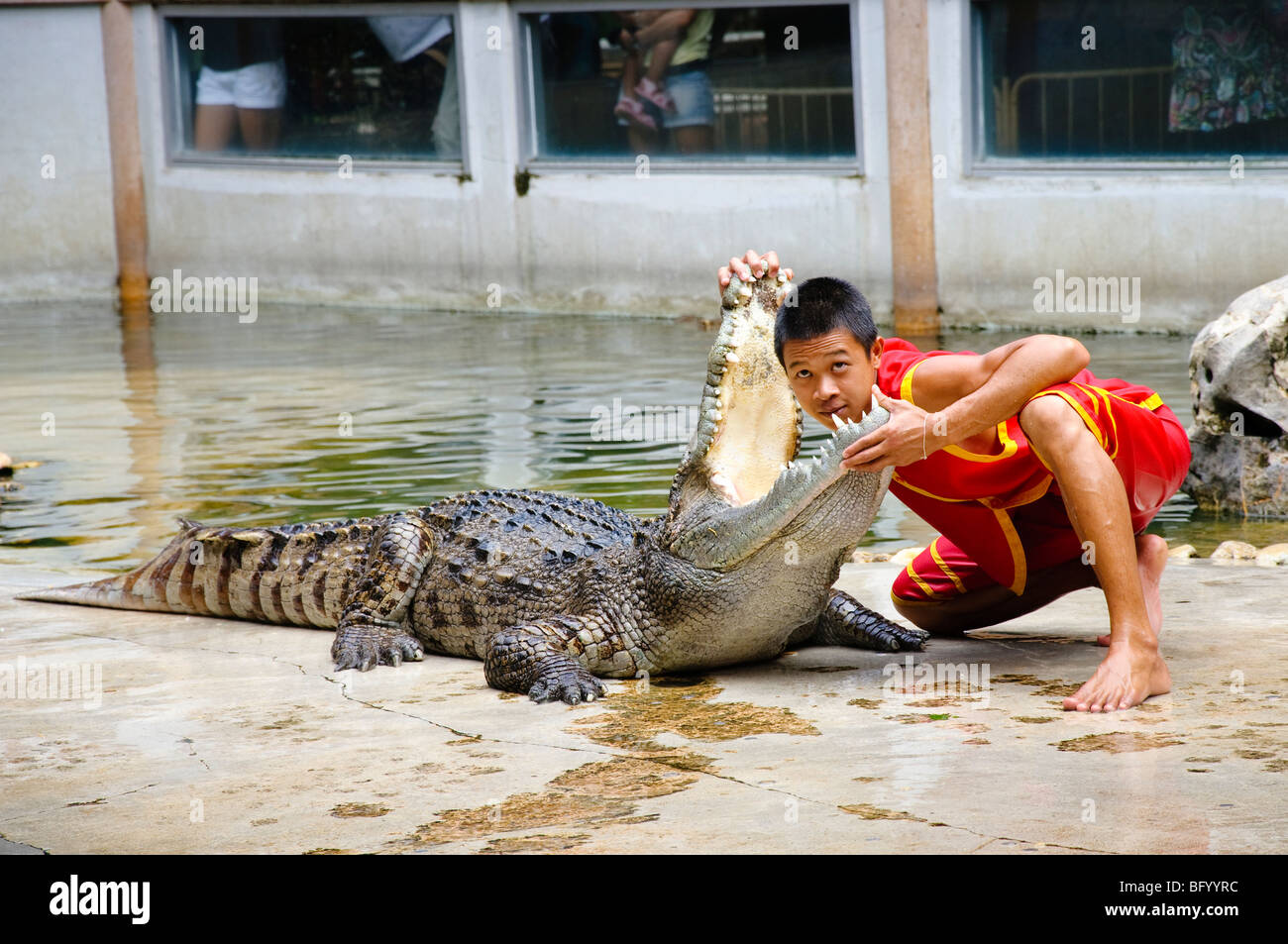 Alligator & crocodiles hi-res stock photography and images - Alamy