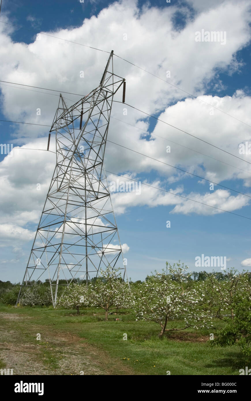 Electrical Distribution Stock Photos & Electrical Distribution Stock ...