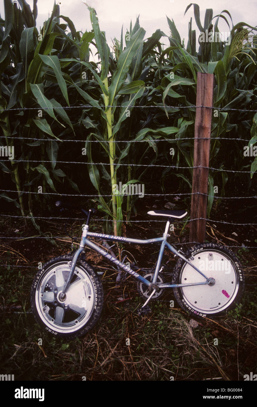 Bicycle next to corn field, Joyabaj, Guatemala Stock Photo - Alamy