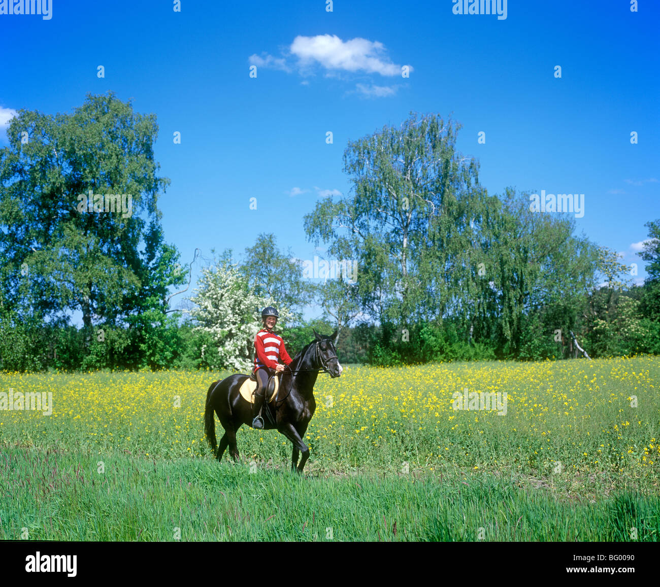 teenage boy horseback riding Stock Photo - Alamy