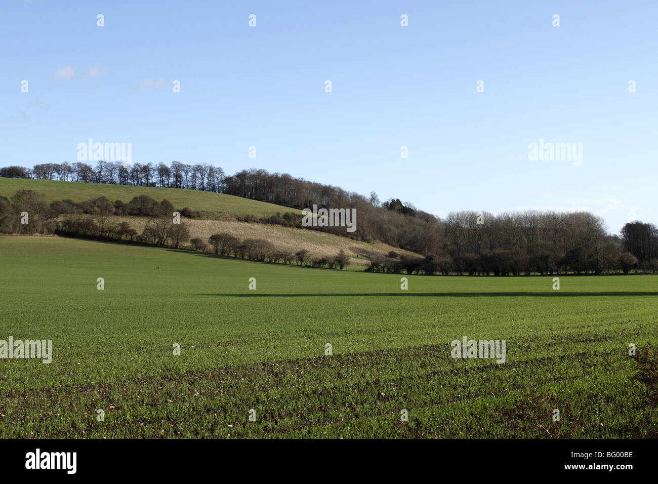 Chiltern valley hi-res stock photography and images - Alamy