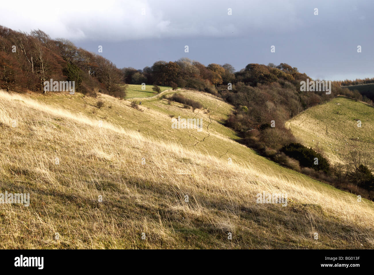 Aston rowant hi-res stock photography and images - Alamy