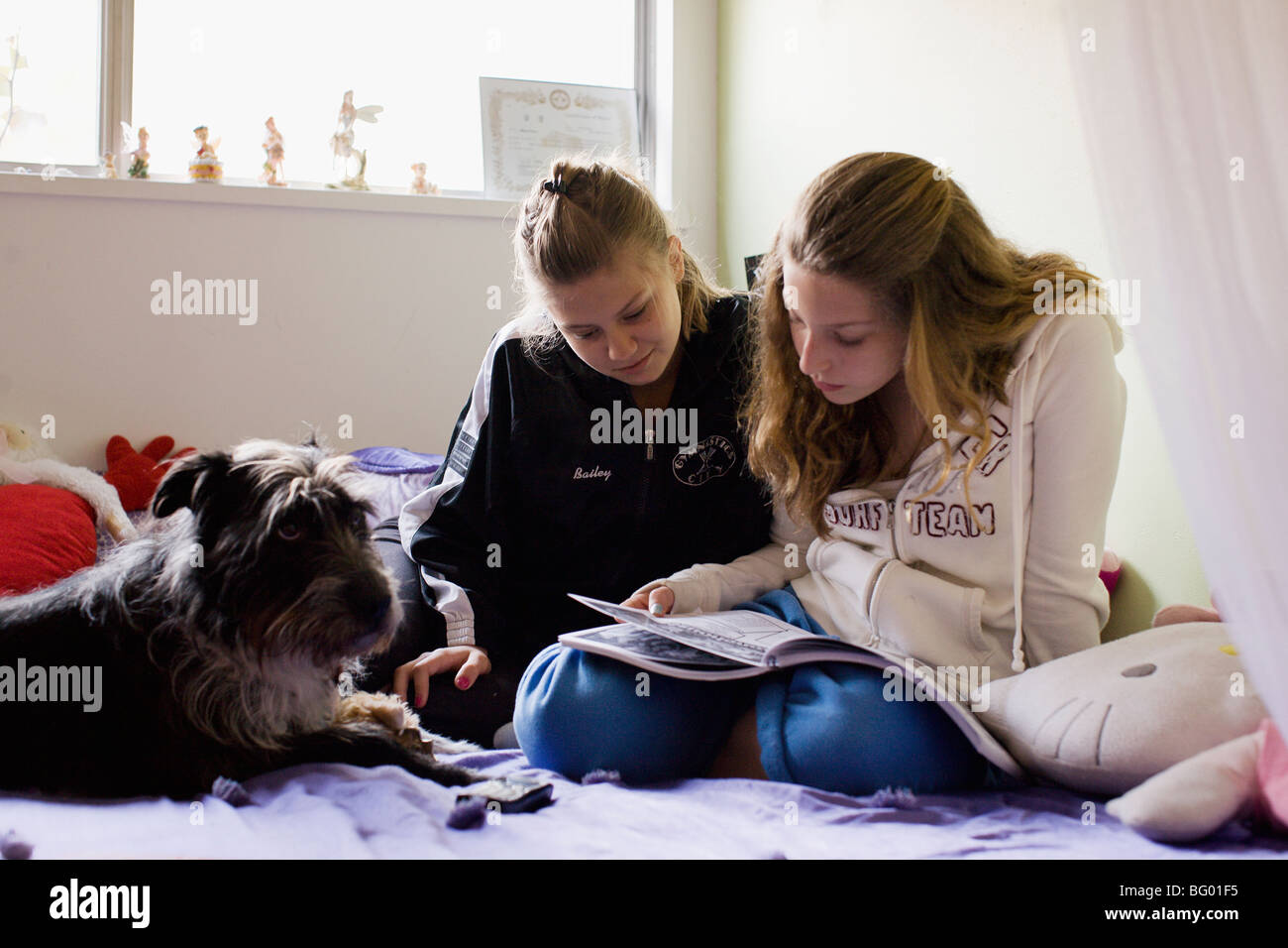 Teens in bedroom doing homework Stock Photo - Alamy