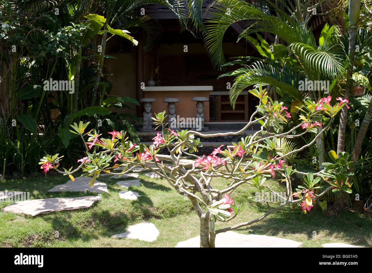 Garden, Bunga Desa Villa, Bali Stock Photo - Alamy