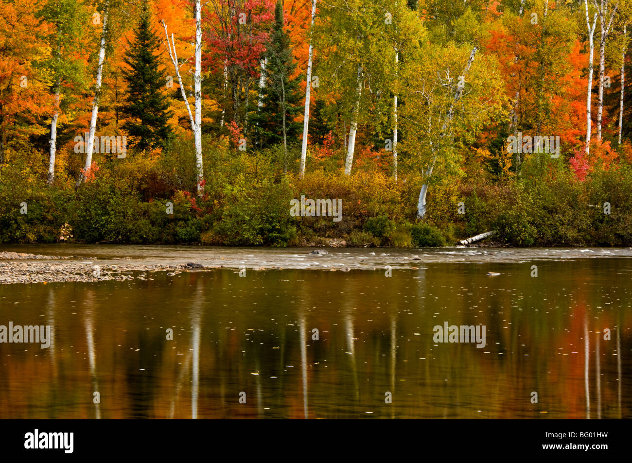 Autumn reflections in Little White River, Iron Bridge to Elliot Lake ...