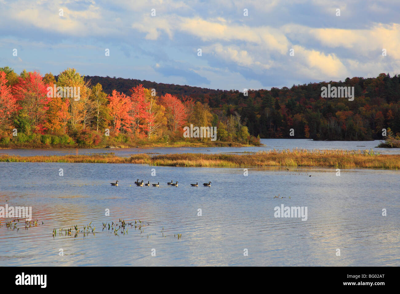 Adirondack park hi-res stock photography and images - Alamy