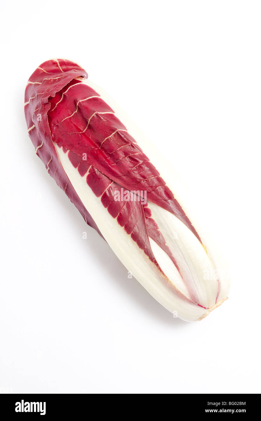 Radicchio leaf white background hi-res stock photography and images - Alamy