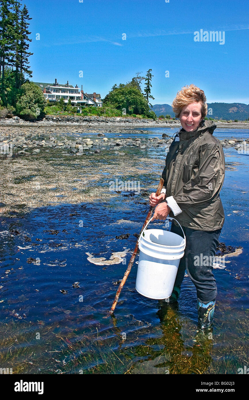 Seaweed expert Diane Bernard harvesting seaweed for Sooke chef. Sooke ...