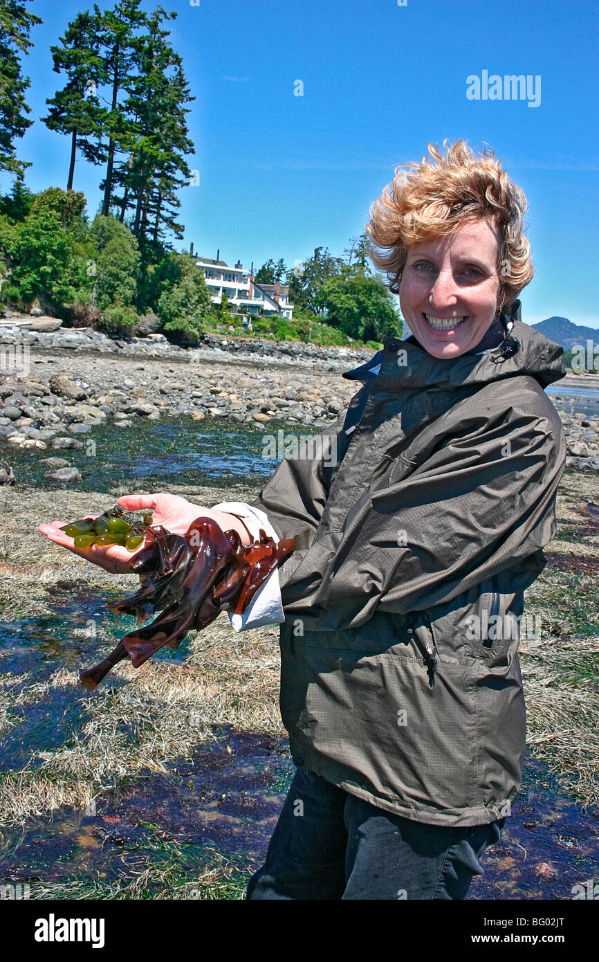 Seaweed expert Diane Bernard harvesting seaweed for Sooke chef. Sooke ...
