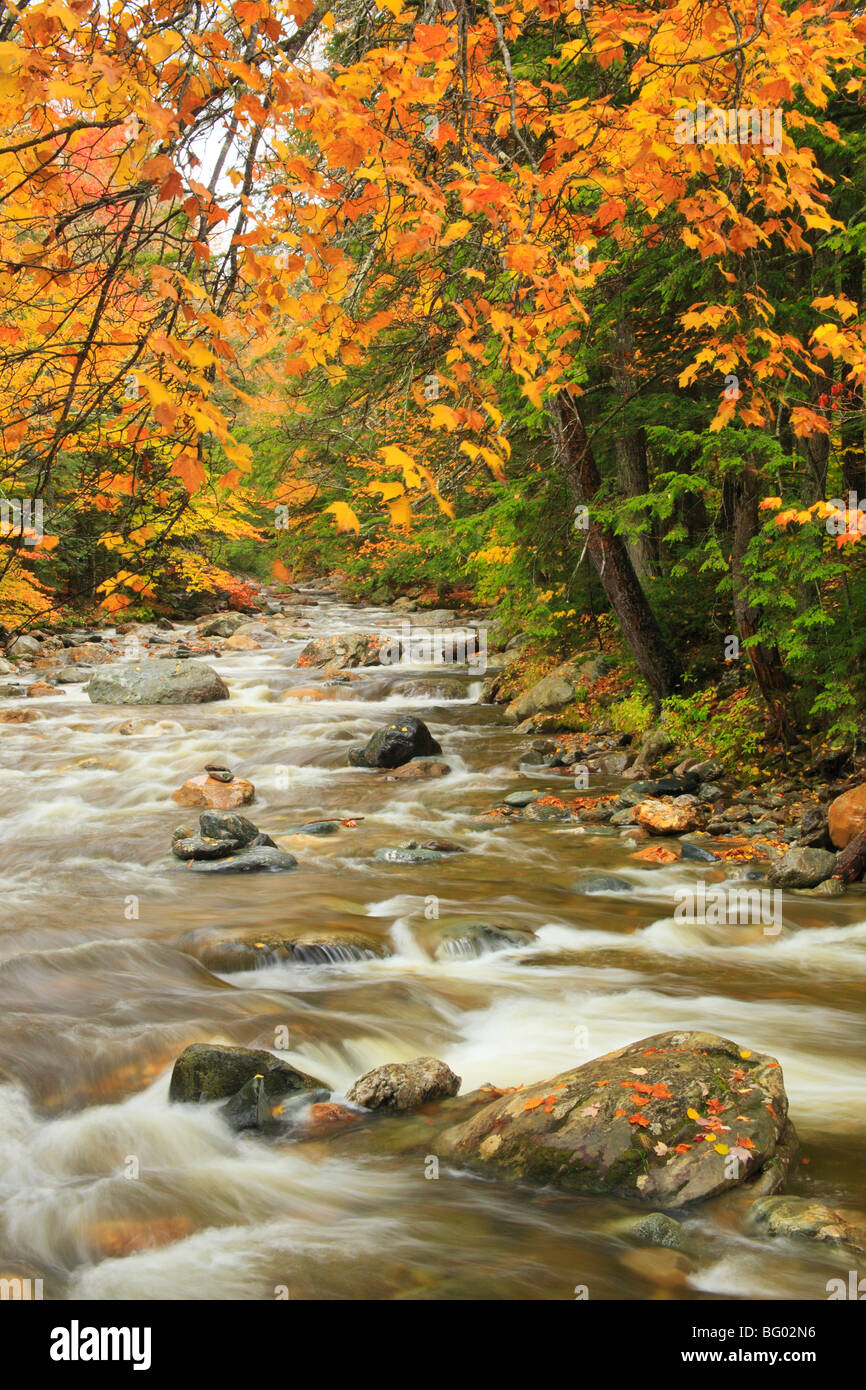 Brook at Texas Falls, Breadloaf, Vermont Stock Photo - Alamy