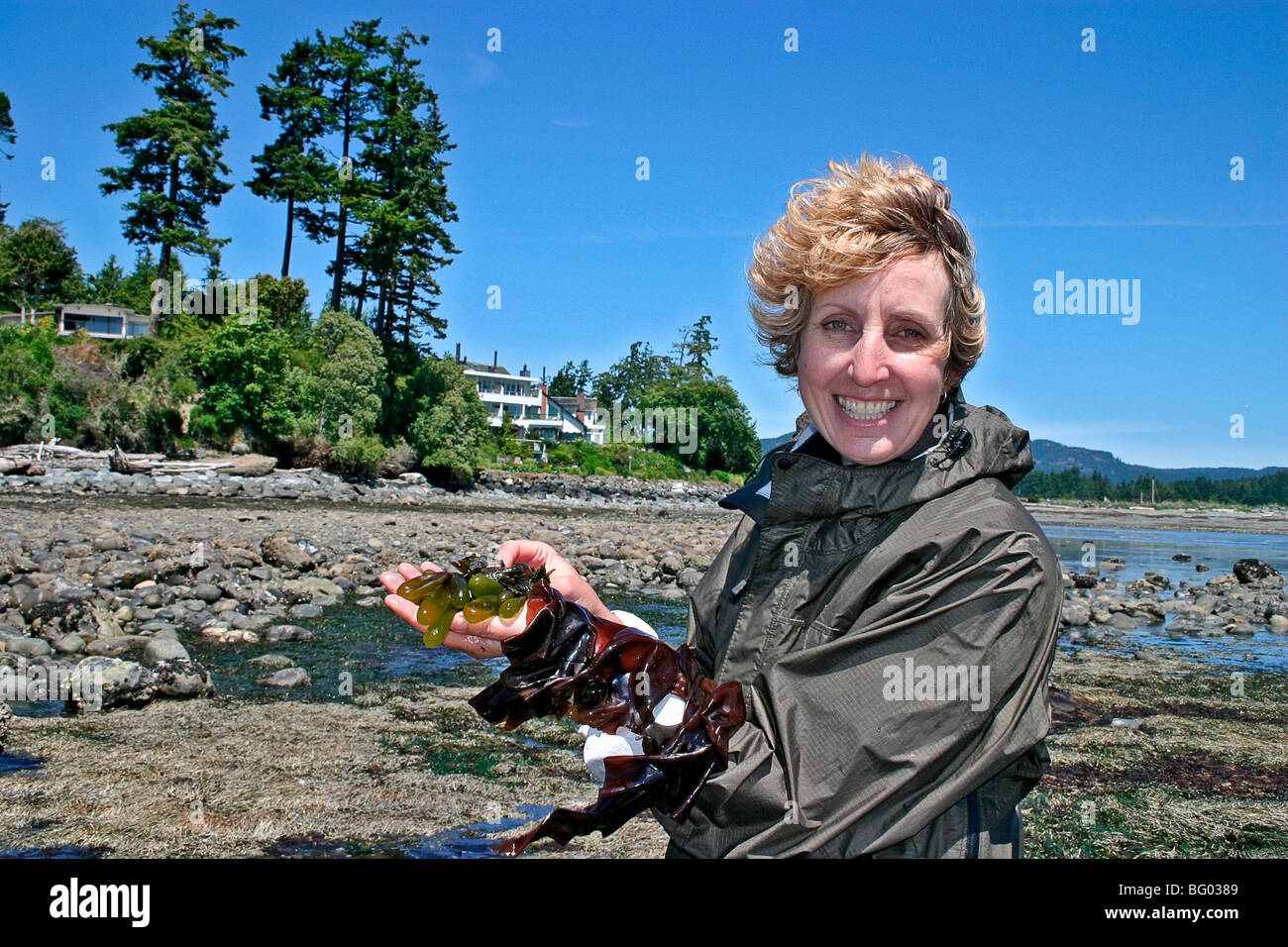 Seaweed expert Diane Bernard harvesting seaweed for Sooke chef. Sooke ...