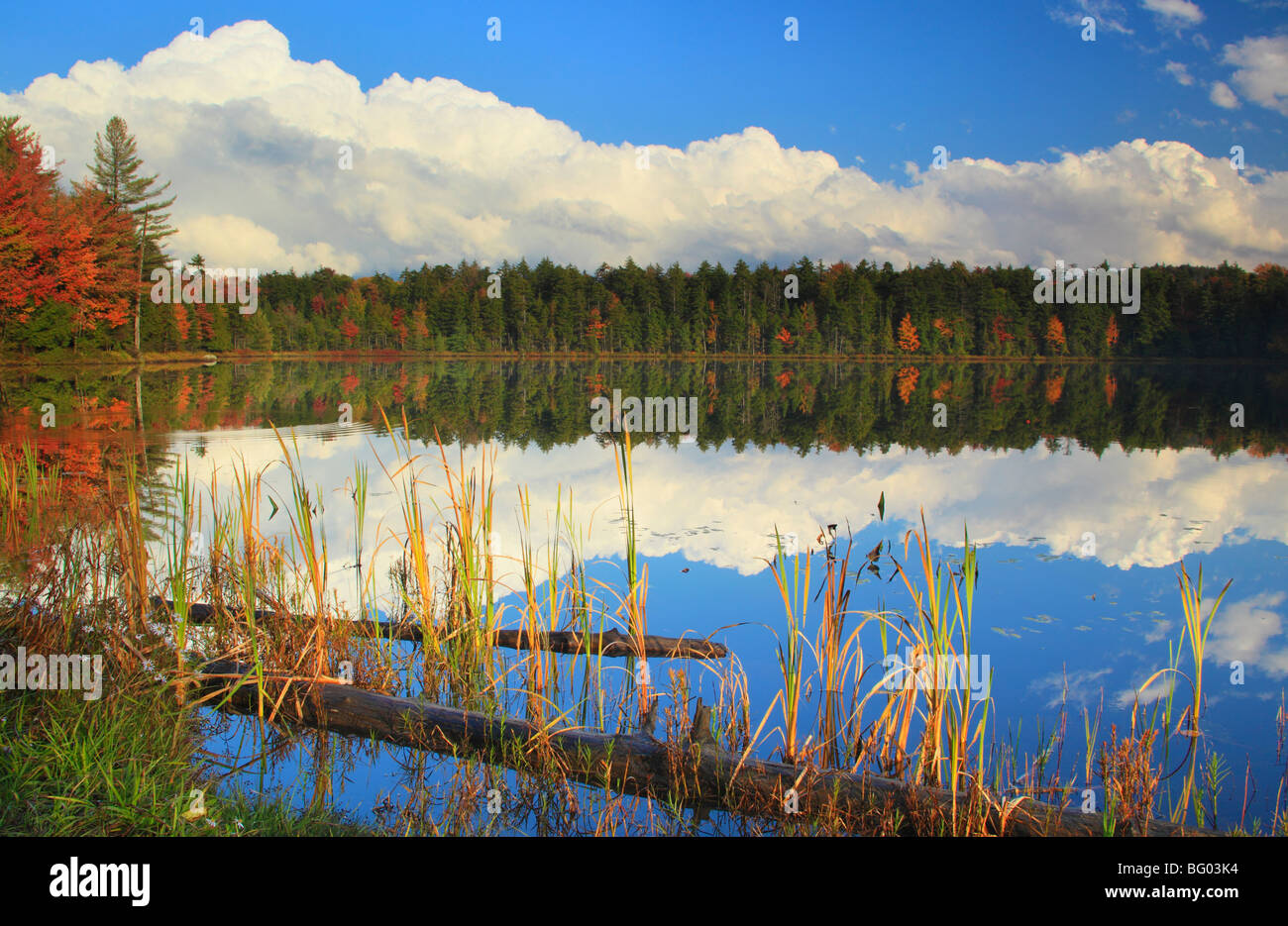 Quiver Pond, Mountain Lodge, Adirondacks, New York Stock Photo - Alamy