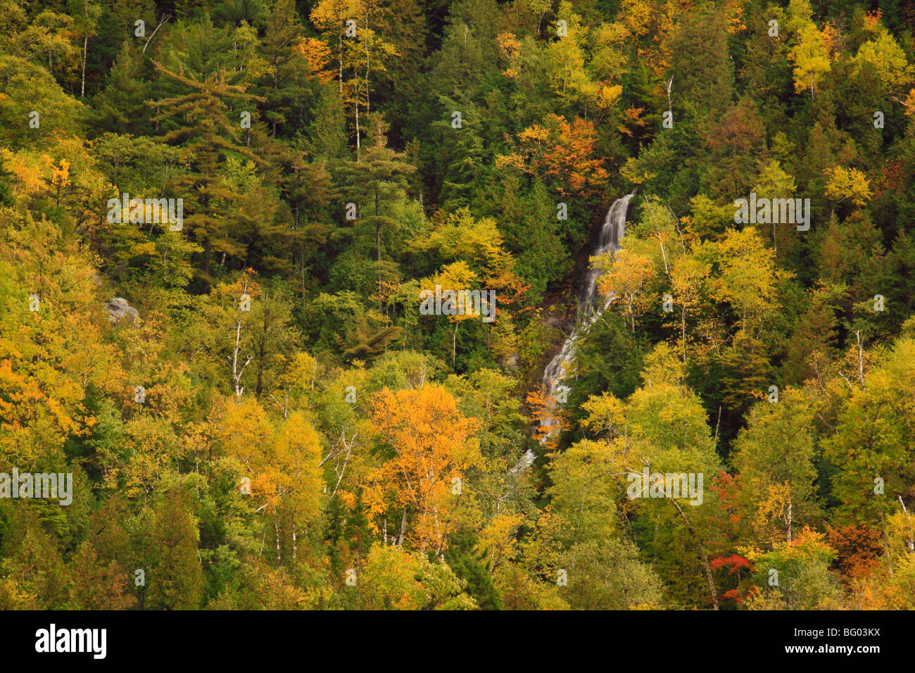 Cascade Lake Falls, North Elba, Adirondacks, New York Stock Photo - Alamy