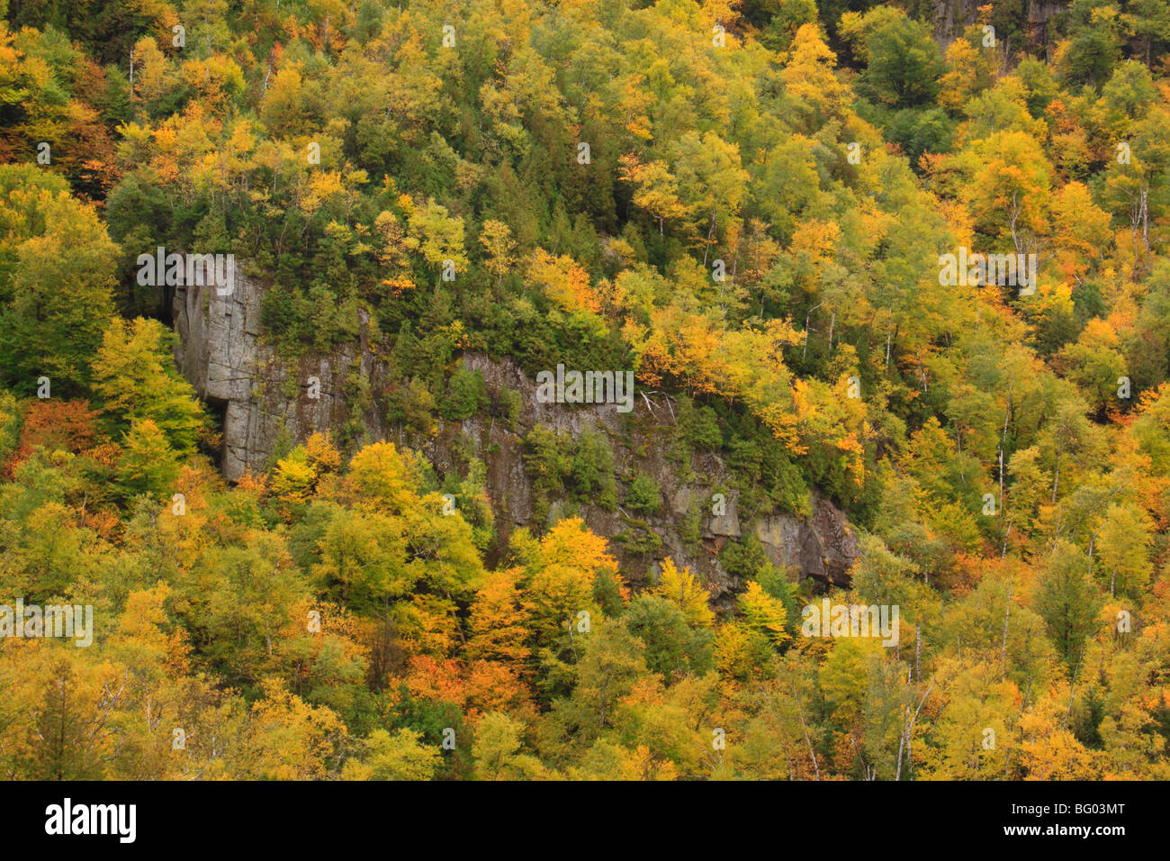 Trees and Mountainside at Cascade Lake, North Elba, Adirondacks, New ...