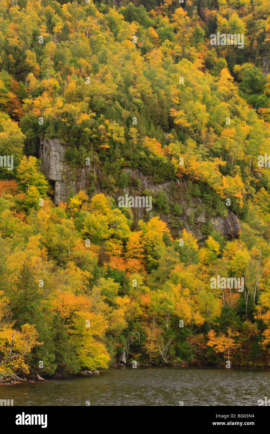 Trees and Mountainside at Cascade Lake, North Elba, Adirondacks, New ...