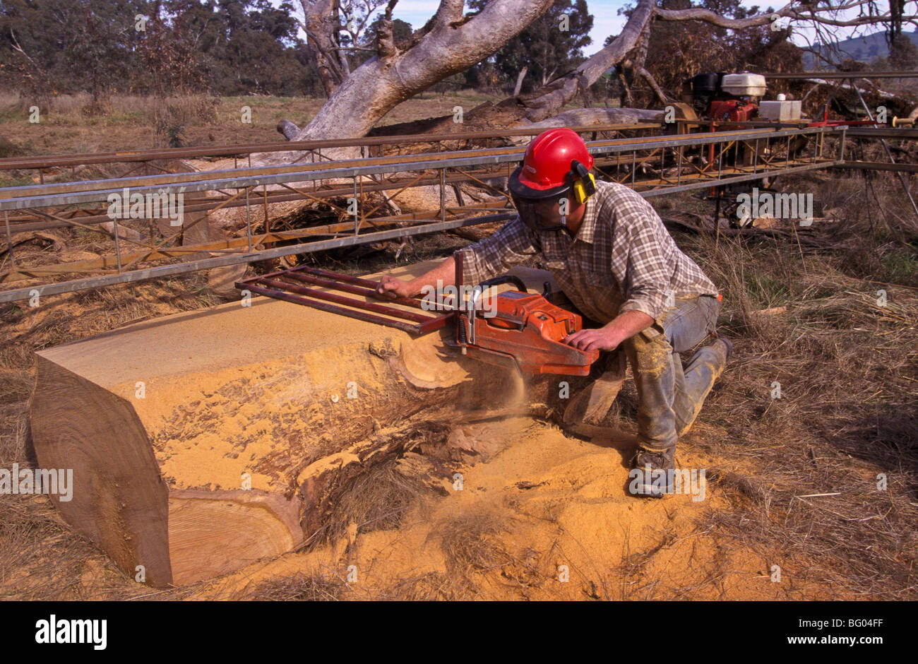 Portable timber mill, Australia Stock Photo - Alamy
