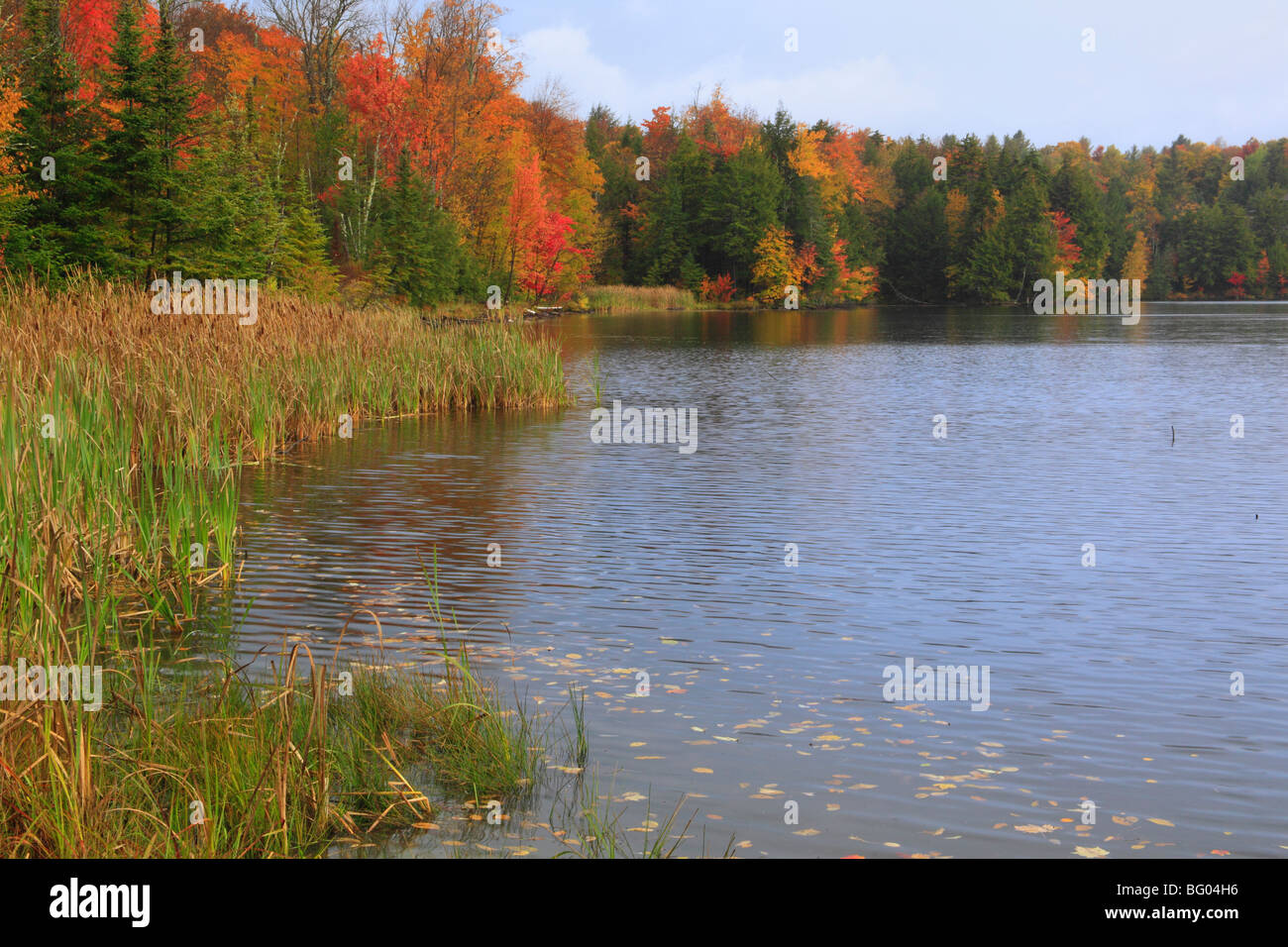 Kent Pond, Gifford Woods State Park, Appalachian Trail, Killington ...